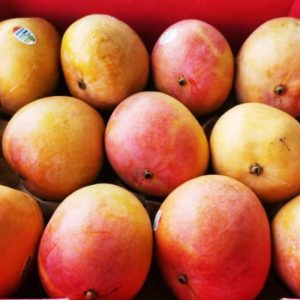 【整箱】 澳洲R2E2大芒果（Mango）一箱 (12个) 约7kg - Justfresh