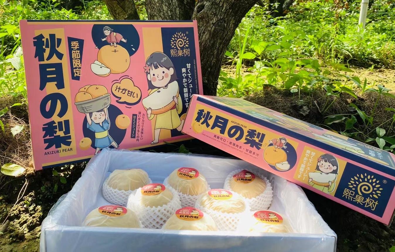 【广东省外】秋月梨礼盒 （6-8颗装）约3.5kg - Justfresh